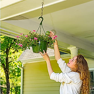 Wyndham House, 6 Piece Small Watering Globe Set, Colorful Hand-Blown Glass Plant Watering System