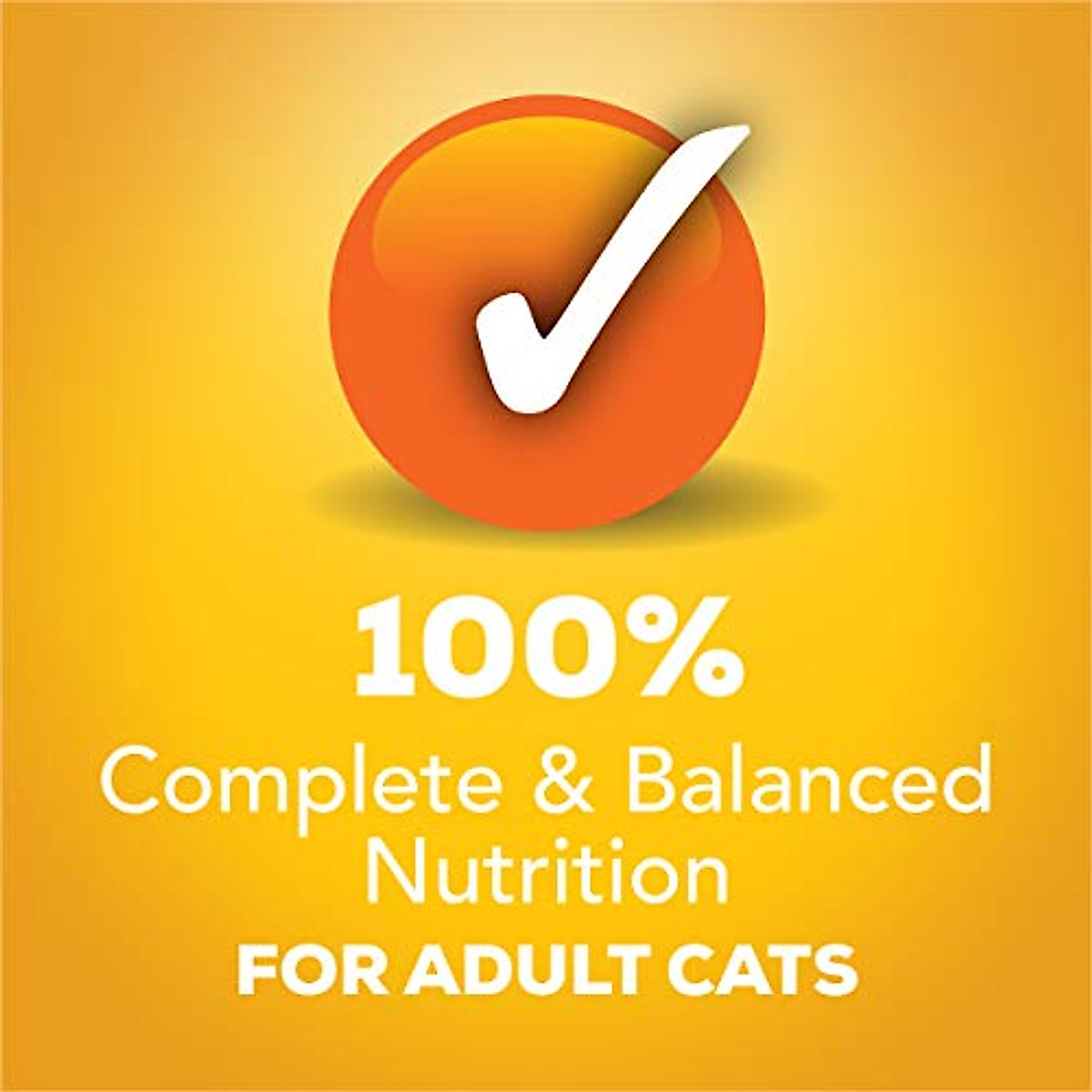 Purina Friskies Gravy Wet Cat Food Variety Pack, Tasty Treasures Prime Filets