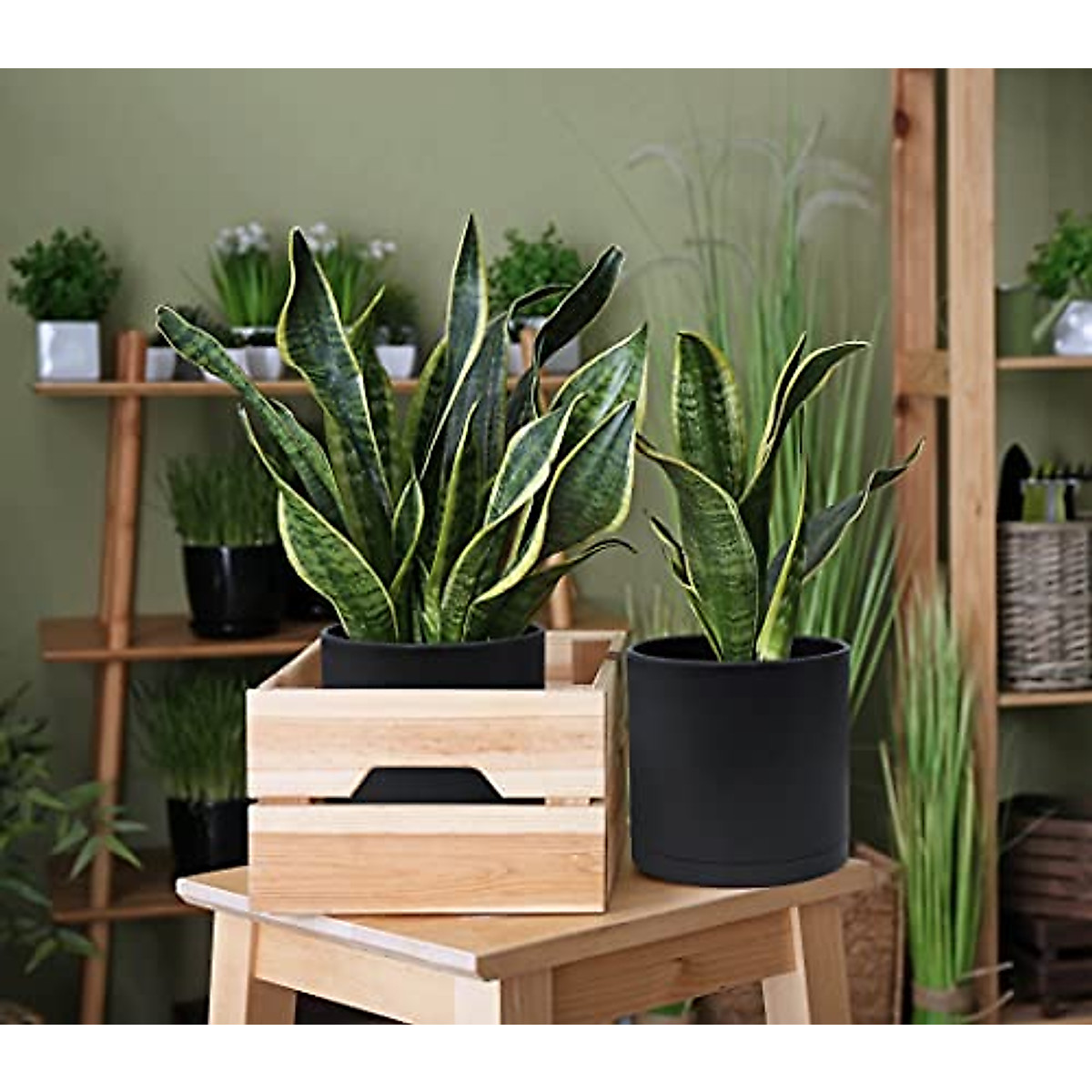 8 Inch Plastic Planter Pots for Plant Pot with Drainage Hole and Seamless Saucers, Black Color, 74-O-S-2