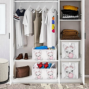 French Bulldog with Gum Storage Baskets for Shelves Foldable Collapsible Storage Box Bins with Cubes Toys Closet Organizers for Pantry Clothes Storage Toys, Books, Home, Office,16 x 11inch