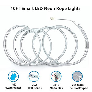 GLPE Neon Rope Lights,10FT 252 LEDs Smart Neon Lights,TuYa APP Control and Music Sync,RGBIC Backlights Works with Alexa and Google Assistant,DIY Creative Strip Lights for Gaming, Living Room,Bedroom