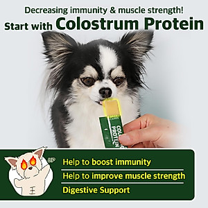 Doctor By Colostrum Protein for Dogs and Puppy – Weight Gain Supplement for Dog - Muscular Strength and Immune System Support with Colostrum, Whey Protein Isolate, Goat Milk – 30 Tubes