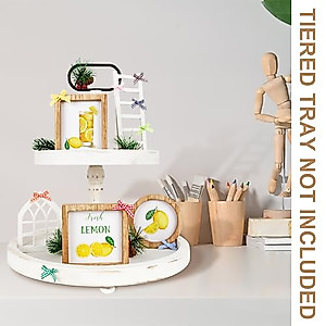 Tiered Tray Seasonal Decorations Set - Farmhouse Summer Lemon Kitchen Decor, 4th of July, Valentine's Day, Spring, Fall, Christmas, Halloween Centerpiece Table Home