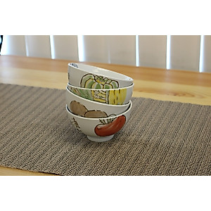 Set of 4 Porcelain Japanese Bowls W Gift Box for Ramen Noodle Udon Noodle Rice Vietnamese Soup Cereal Pho Popcorn Oatmeal (Vegetable)