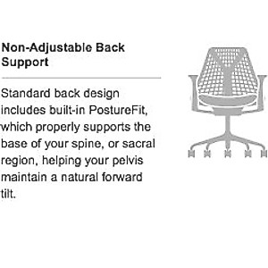 Herman Miller Sayl Chair, Black Rhythm