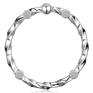 CHICTIE Chrome Shower Curtain Rings, Silver Rustproof Decorative Shower Hooks, Set of 12 Premium Metal Shower Rings Hangers HK5# Circle Ring Design