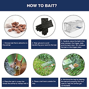 Animal Trap Cage, 24 Inch Live Traps for Raccoons Heavy Duty, Cat Trap for Stray Cats, Squirrels, Raccoon, Rabbits, Possum, Skunk, Outdoor Small Animal Trap, Humane Catch & Release, Foldable