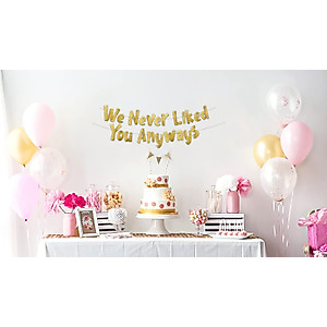 We Never Liked You Anyways – Going Away Party Gold Glitter Banner – Funny Farewell Party Decorations – We Will Miss You – Retirement Party – New Job Change – Moving Party Supplies, Ideas, and Gifts