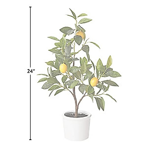 Amazon Brand - Stone & Beam Artificial Lemon Citrus Tree with Ceramic Pot, 2 Feet (24 Inches), Indoor