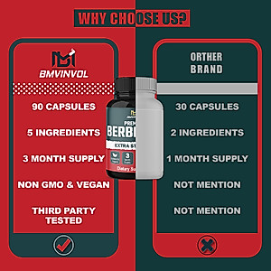 5-in-1 Berberine with Ceylon Cinnamon Milk Thistle Turmeric Artichoke - 3 Month Supply - 90 Capsules