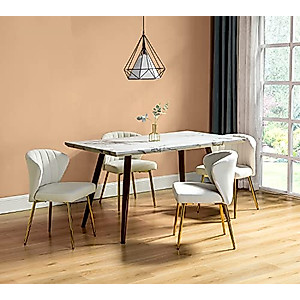 TINA'S HOME Velvet Dining Chairs Set of 2, Modern Upholstered Side Chair with Golden Legs, Small Cute Armless Accent Chair for Living Room, Kitchen, Bedroom, Beauty Room/Fuchsia