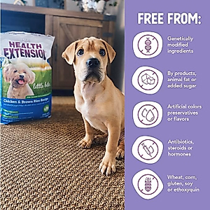 Health Extension Little Bites Chicken & Brown Rice Dry Dog Food (4 lb / 1.8 Kg) - Natural with Probiotics and Superfoods for Teacup, Toy & Small Breeds (Pack of 2)