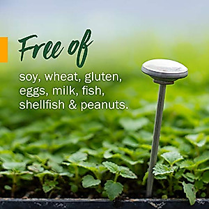 Herb Pharm Kids Certified-Organic Alcohol-Free Black Elderberry Glycerite Liquid Extract, 1 Ounce (GLKELD01)