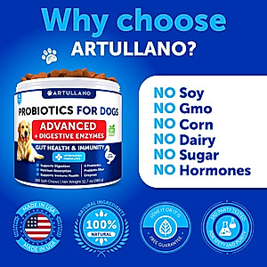 Canine Immune Health Support Chewables - Probiotics - Prebiotic Fiber - Enzymes, Treats for Dogs