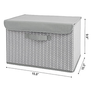 GRANNY SAYS Bundle of 2-Pack Hanging Organizer for Closet & 2-Pack Closet Storage Bins