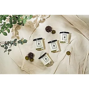 CULTURE & NATURE Lime Basil & Mandarin Scented Soy Candle (8oz), 100% Natural Soy Wax, Clean Long Burning Wooden Wick, Luxury Home Fragrance