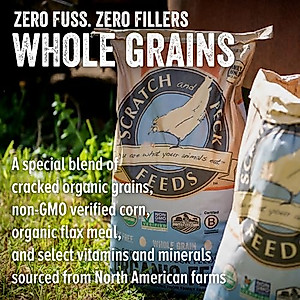 Scratch and Peck Feeds Organic Layer Chicken Feed with Corn for Chickens and Ducks - 25-lbs - Non-GMO Project Verified, Always Soy Free - 1004-25