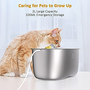 Petory - Automatic Stainless Steel Pet Water Fountain, Water Dispenser with 2 Replacement Filters, 2.1L/71oz BPA-Free, for Cats Inside with Adjustable Water Flow