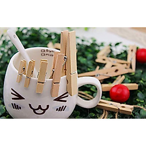 Mini Natural Wooden Clothes Pins, Sturdy Small Wood Clothespin, Photo Paper Peg Pin, Craft Clips for Home School Arts Crafts Decoration, DIY Screen 25mm - 100 Pack