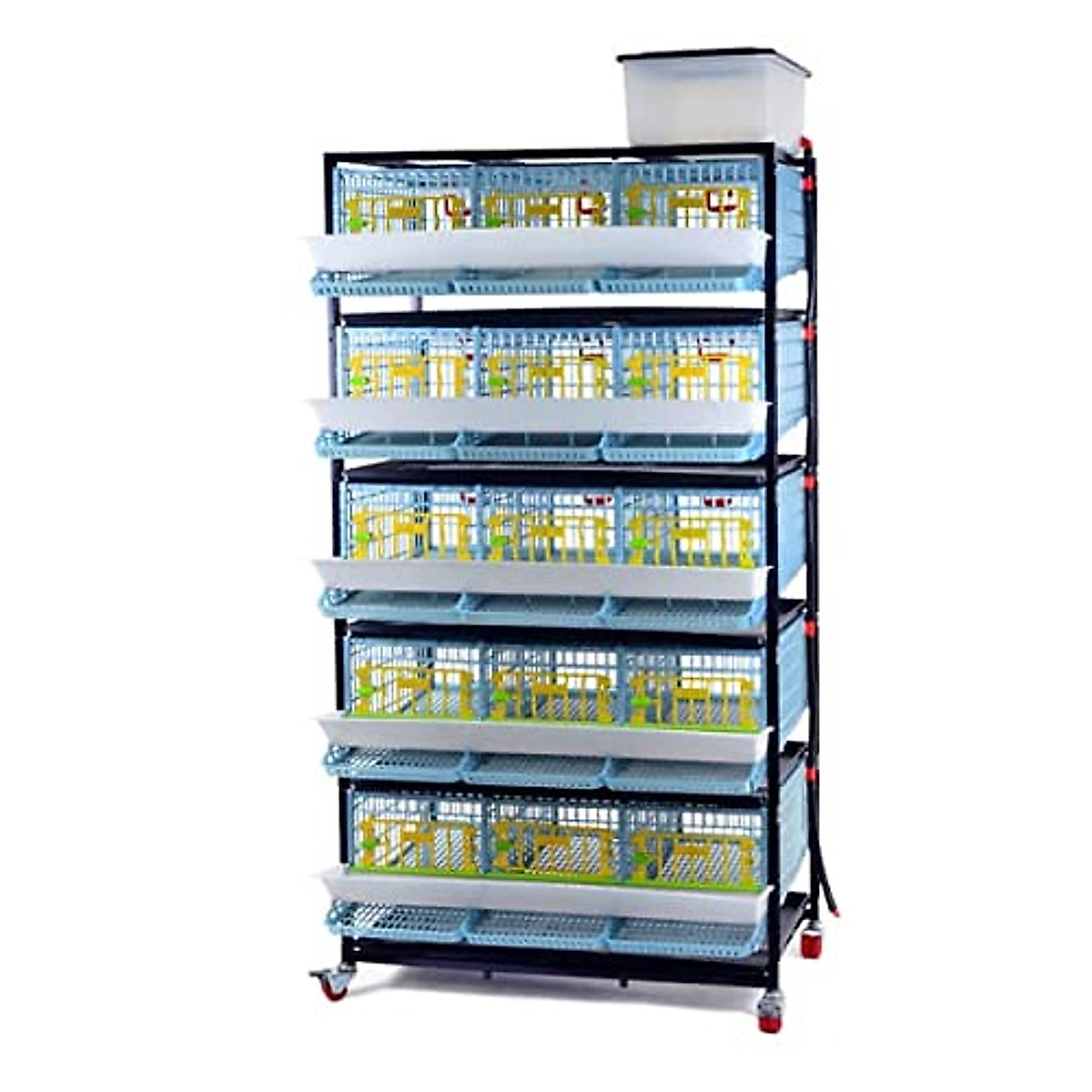 Quail Cage - 5 Layer (Power-Washable, Durable, ABS Plastic) | Hatching Time