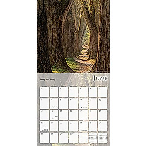 2021 Enchanted Pathways: Photography by Lars van de Goor 16-Month Wall Calendar