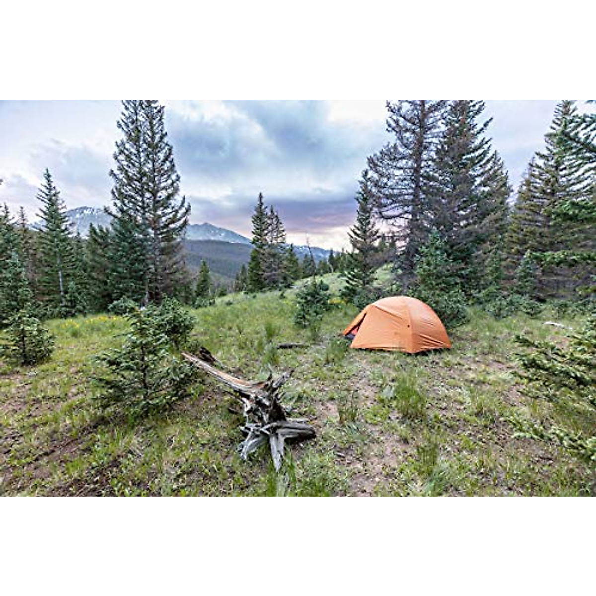 ALPS Mountaineering Aries 2-Person Tent, Copper/Rust