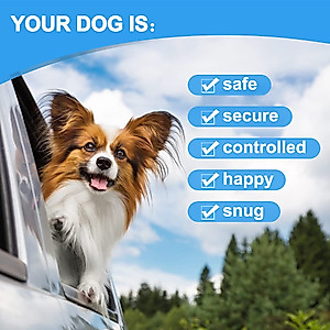 Mi Metty Dog Seat Belt Harness for Car,2pcs Dog Seatbelt of Coated Wire Leash Safety Restraint,No Chew Tether Cable Vehicle Dog Accessories,Double Clips & Latch (Black, 32 inch/80 CM)