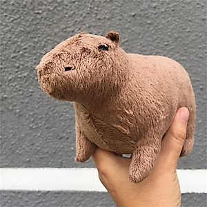 fokesty Capybara Stuffed Animal, Capybara Plush Cute Stuffed Animal, Birthday Girl Stuffed Animal