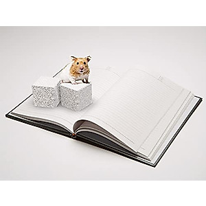 WANBAO 1.6 Inch Hamster Molar Lava Block, Small Animal Teeth Grinding Lava Block, for Rabbits, Parrots Etc 12 Pcs