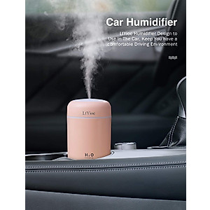 LtYioe Colorful Cool Mini Humidifier, USB Personal Desktop Humidifier for Car, Office Room, Bedroom,etc. Auto Shut-Off, 2 Mist Modes, Super Quiet. (Pink)