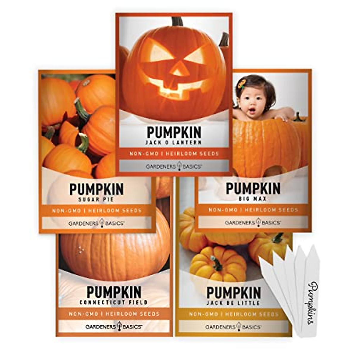 Pumpkin Seeds to Plant - 5 Variety Baby Boo, Giant Big Max, Jack Be Little, Jack O Lantern, Sugar Pie, Great for Pumpkin Seed for Summer, Fall, Pumpkin Seeds for Planting by Gardeners Basics