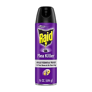 Raid Flea Killer, Kills Fleas, Crickets, Roaches, Silverfish and Ticks, Use in Your Home or on Your Dog (1 Pound (Pack of 6))