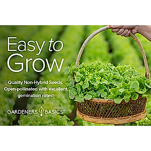 Salad Greens Lettuce Seeds Heirloom Vegetable Seed 23,000 Seeds for Planting Indoors and Outdoor 10 Packs - Buttercrunch, Romaine, Iceberg, (and More) Leaf and Head Variety Pack by Gardeners Basics