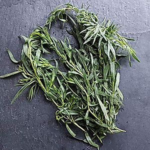 Gaea's Blessing Seeds - Tarragon Seeds - Heirloom Non-GMO Seeds with Easy to Follow Instructions - Open-Pollinated Herb Seeds Germination Rate 91%
