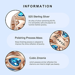 NINGAN March Birthstone Charms Rose Gold 925 Sterling Silver Love Heart Bead for Charm Bracelets and Necklaces with 5A Cubic Zirconia, Birthday Gifts