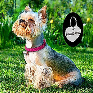 Leather Dog Collar Braided Dog Puppy Cats ID Collar with Name Personalized Engraved for Small Medium Dogs Free Bell (Color : Blue Size : XS Code)