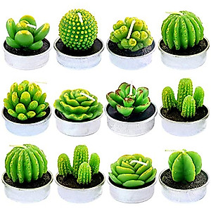 12 Pieces Cactus Tealight Candles Handmade Delicate Succulent Cactus Candles for Party Wedding Spa Home Decoration Gifts