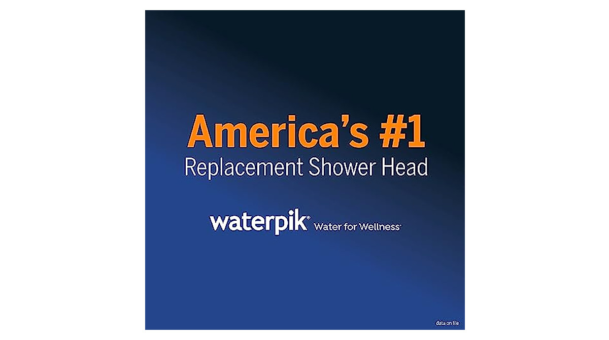 Waterpik Magnetic Dual Dock Adjustable Height Hand Held Shower Head ...