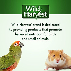 Wild Harvest Chewable Perch 10.5 Ounces, for All Birds, Made with Delicious Honey Flavor