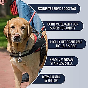 Leash King 1.25" Double-Sided Service Dog Tag with 1.3" Solid Quick Clip– Easily Attach to Collar, Harness, Vest – Entirely Surgical Stainless Steel – PVD Rose Gold