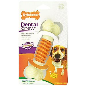 Nylabone Dental Pro Action Bone Dog Chew Toy, Bacon, Medium