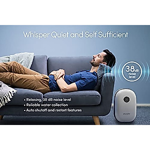 Eva-Dry Air Dehumidifier for Home – Portable Dehumidifier for Small & Medium Spaces Up to 2,500 Cubic Ft. – Quiet Dehumidifier for Basements, RVs, Bathrooms, Laundry Rooms, Campers, Bedrooms, & More