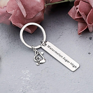 WSNANG Watermelon Sugar lyrics Inspired Gift Watermelon Sugar High Keychain Singer Fans Gift Music Lover Gift (Watermelon KC)
