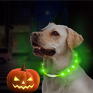 LaRoo LED Light Up Dog Collar, Cutable Silicon USB Rechargeable Glow Light Collar for All Dogs, Waterproof 3-Modes Flashing Dog Collar for Dark Outdoor Training Playing (27.5 inch/70cm)