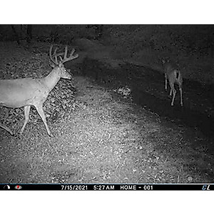 Cuddelink Cuddeback 1 Model G-5109 Cellular Camera Powered by Verizon 3 Remote L Series Cameras 4 Solar Power Banks Models PW-3600 4 16GB SD Cards 1 Hunters Warehouse Hat New