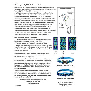 Lupine Dog Collar 1" Wide El Paso Design adjusts 16-28" Long