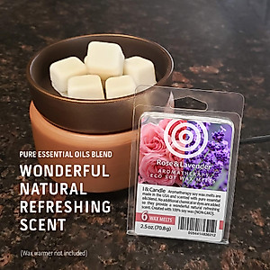 I & Candle, (Set of 4) Eucalyptus / Hibiscus & Citrus / Rose & Lavender / Rosemary & Mint Aromatherapy Wax Melts. 100% Soy Wax Non-GMO. Made in the USA