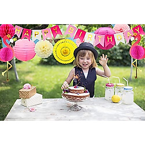 Flamingo party Beehive decorative set, Happy Birthday banner with paper lanterns, holiday party supplies, paper fan paper flowers Hawaiian beach Hawaiian party birthday wedding photo background