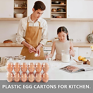60PCS Egg Cartons Reusable Plastic Egg Carton 12 Count, 1 Dozen Clear Blank Egg Cartons Cheap Bulk for Large Eggs, Blank Chicken Egg Tray Holders for Family, Chicken Farm, Business Market Display