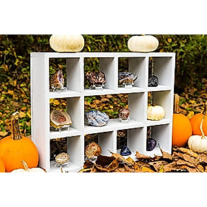 Crystal Holder Display Shelf - Rustic Wall Mounted Shelf for Farmhouse Décor with Chicken Wire for Spices, Rocks, Countertop Organizer, Shadow Box (Rustic White)